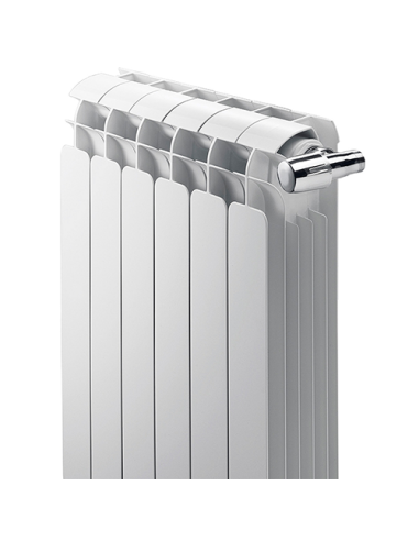 Termosifone Radiatore in alluminio da 5 elementi Faral ALBA interas...