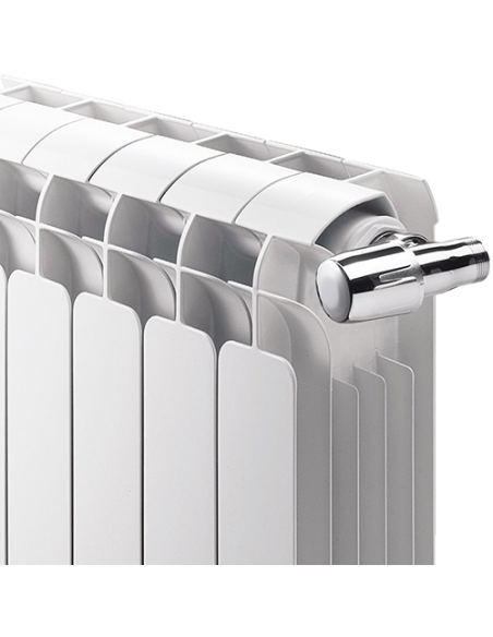 Termosifone Radiatore in alluminio da 10 elementi Faral ALBA intera...